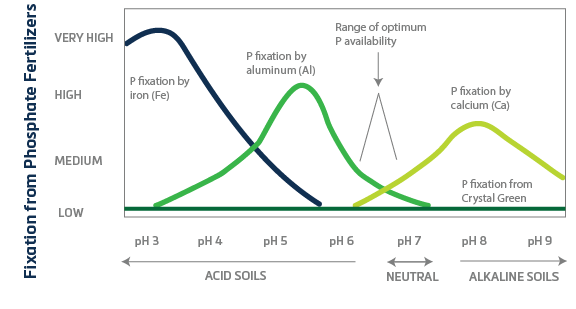 Crystal Green | Ostara